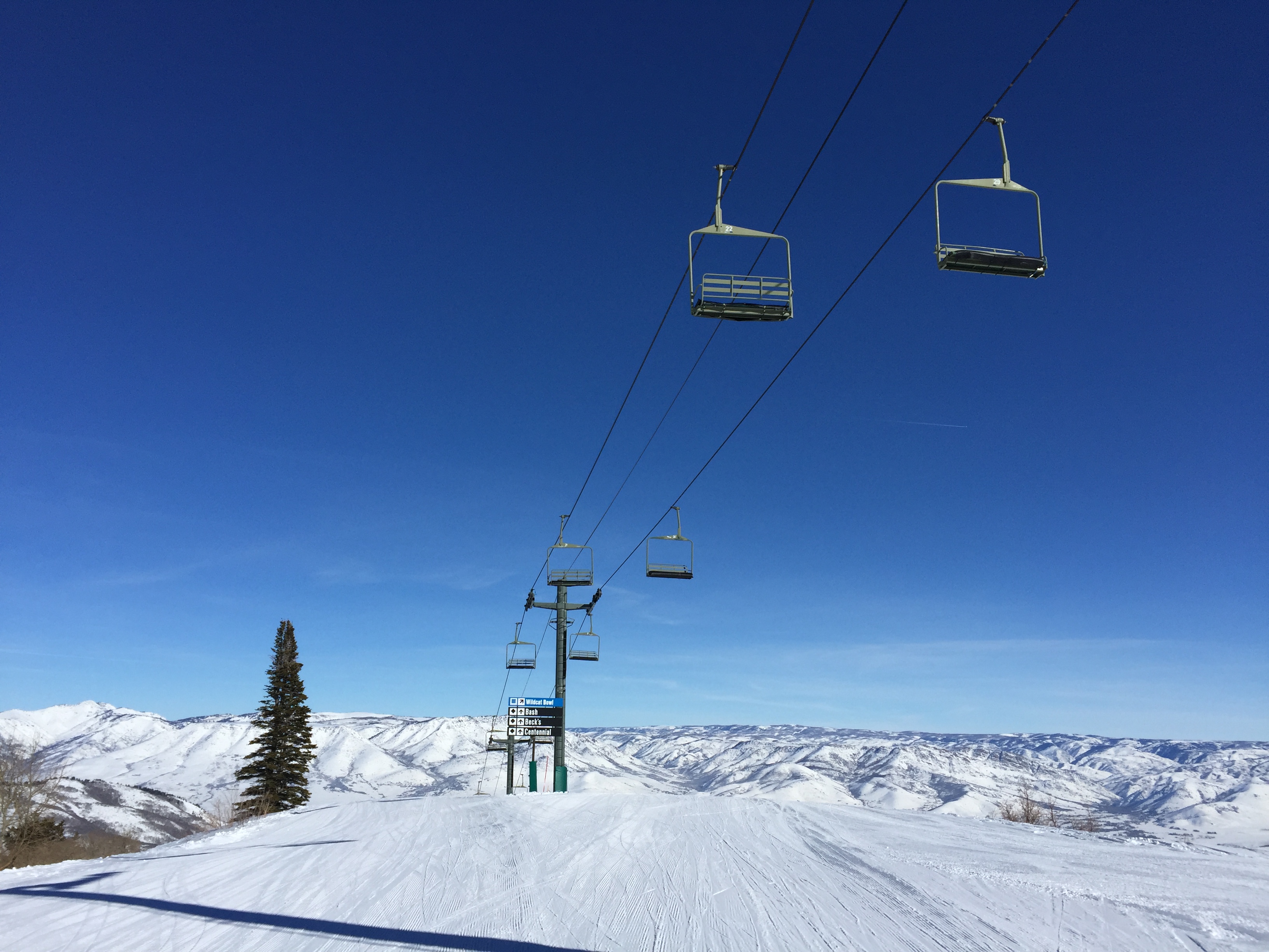 A Compromised Immune System - 2SER