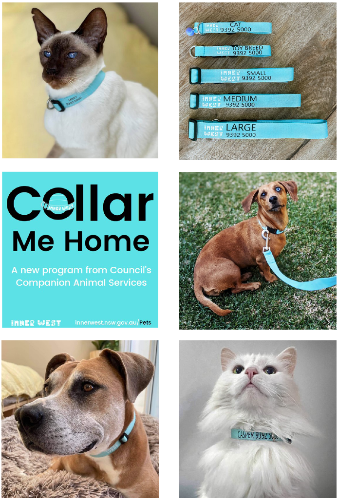 Collar me home - 2SER