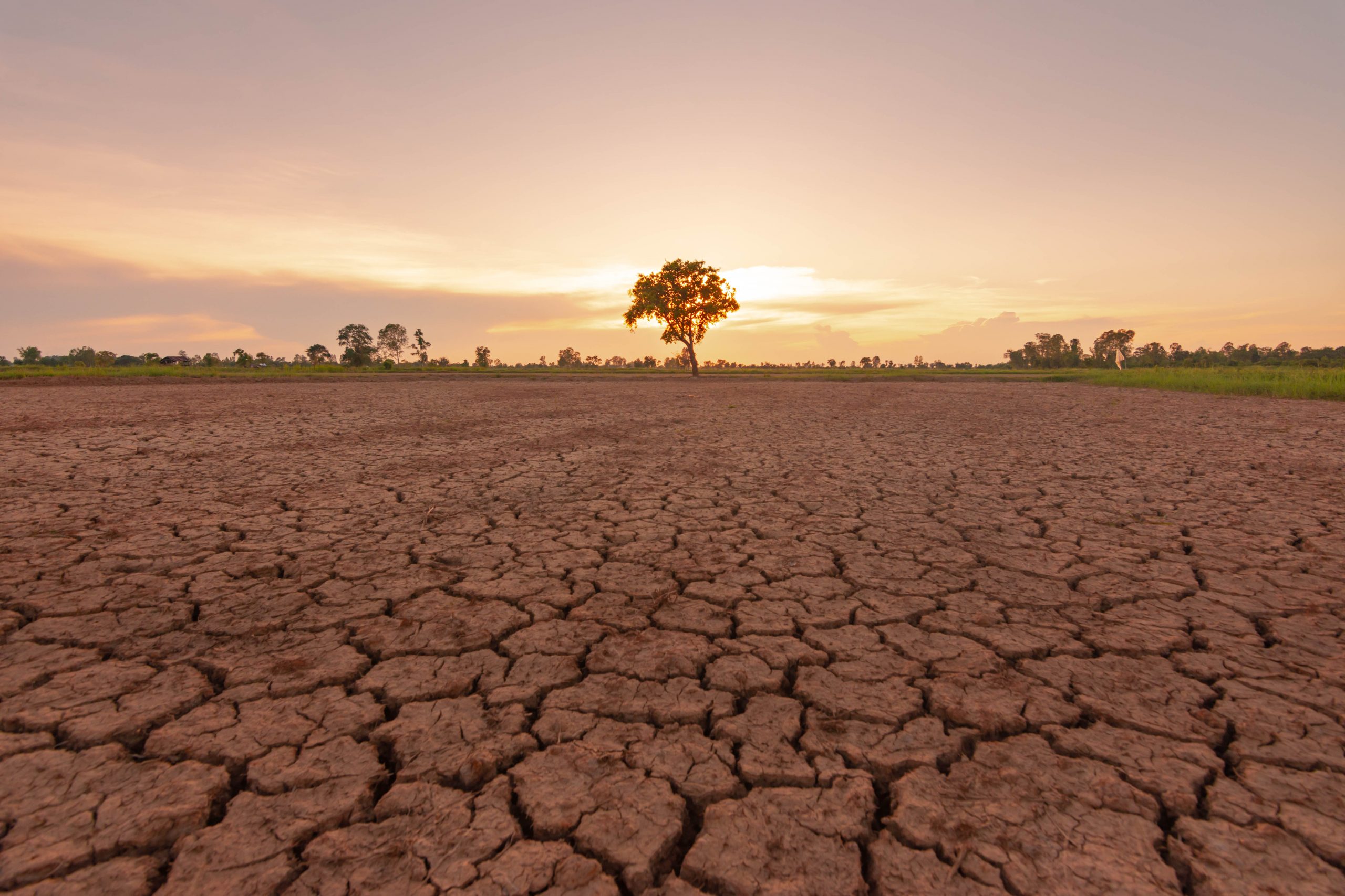 Breaking Climate Records - 2SER